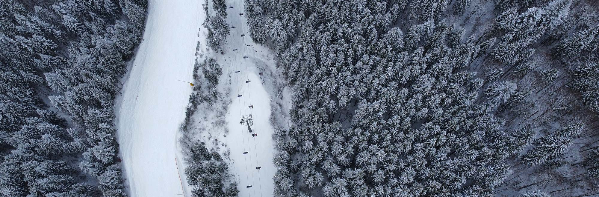 New York Ski Resort Art Collection | Handcrafted Wooden Ski Maps