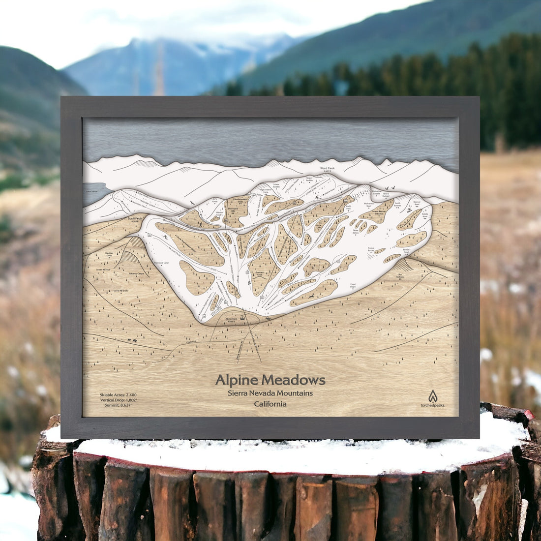 Alpine Meadows, CA Wood Ski Trail Map | Palisades Tahoe Mountain Art