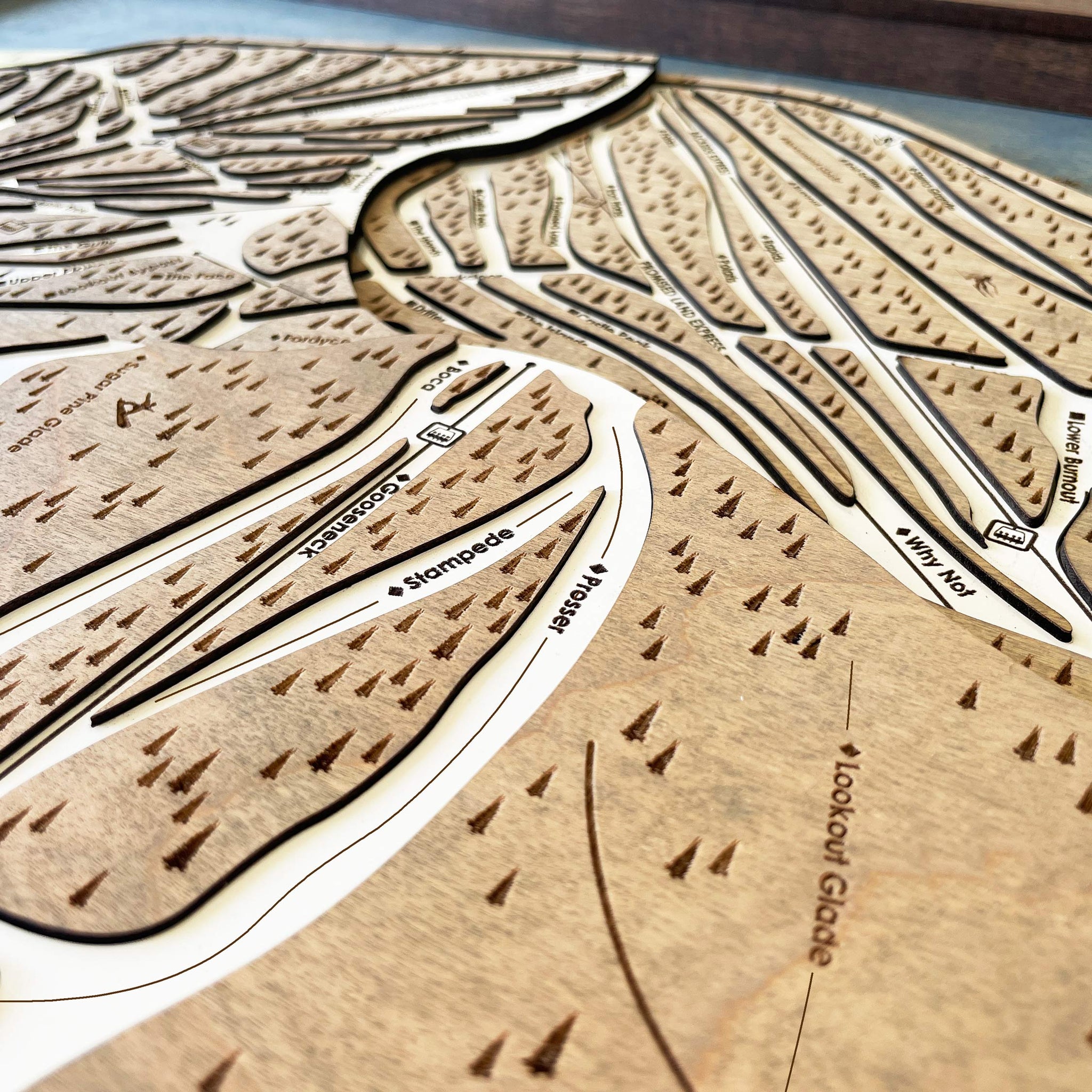 Northstar Ski Resort California Ski Trail Map | 3D Wood Ski Resort Map