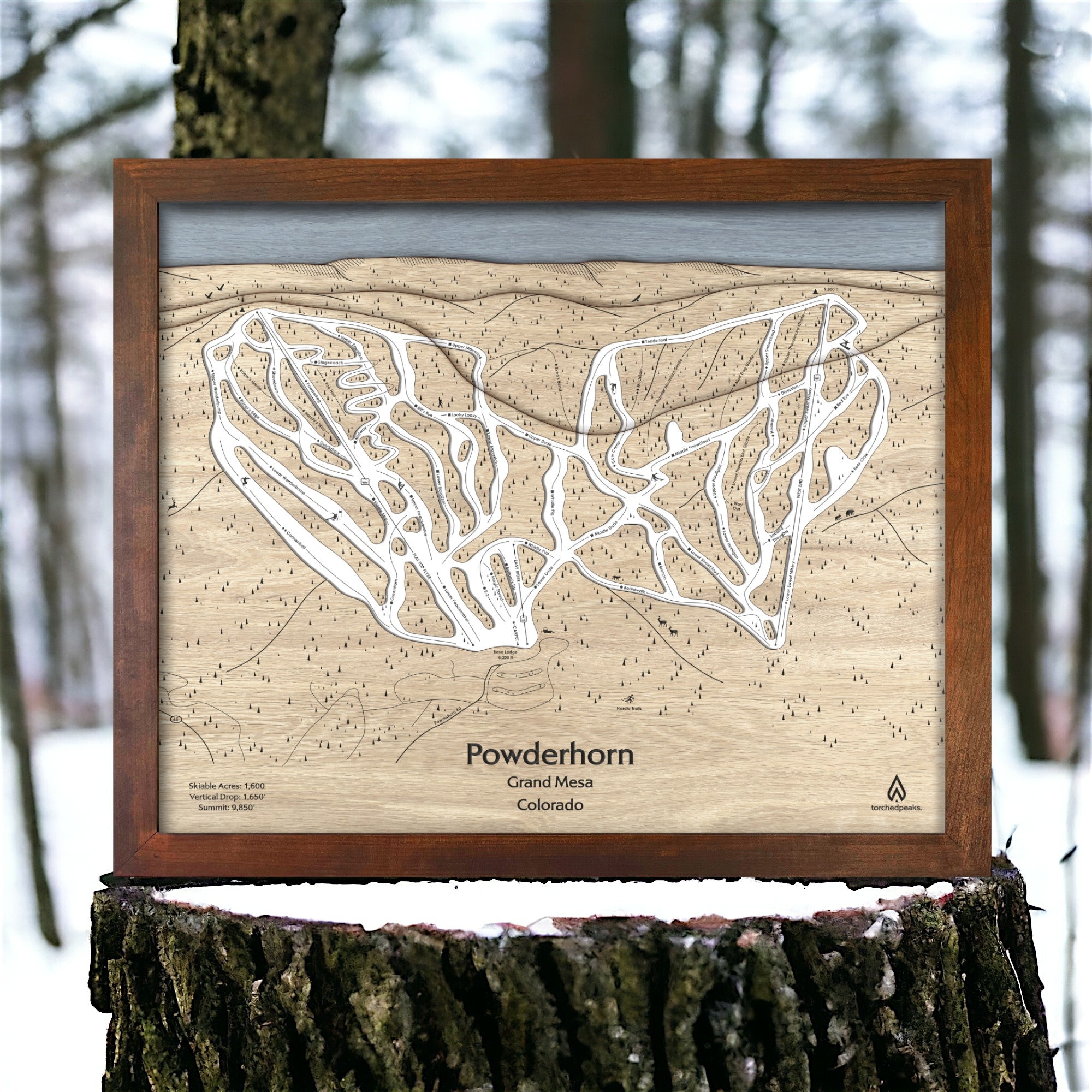 Powderhorn Mountain, CO Wooden Ski Trail Map | 3D Mountain Art